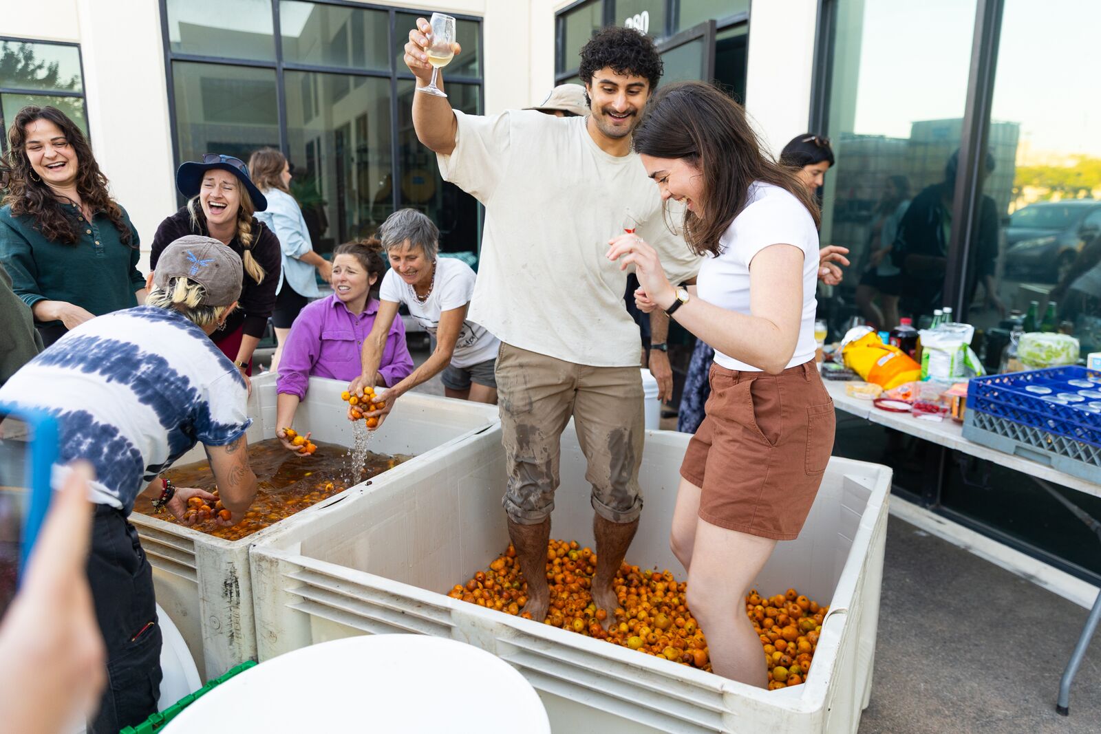 They're making wine from 'feral' fruits of the East Bay — and you can ...